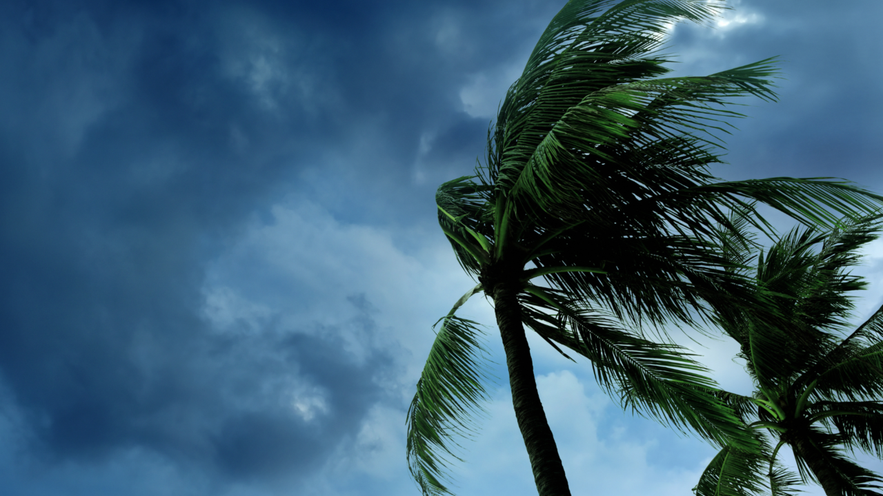 Prepare Your Solar System for A La Niña Summer - Solar Panels Inverters ...